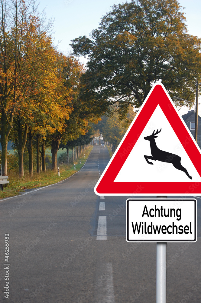 Straße mit Schild Wildwechsel Stock Photo | Adobe Stock