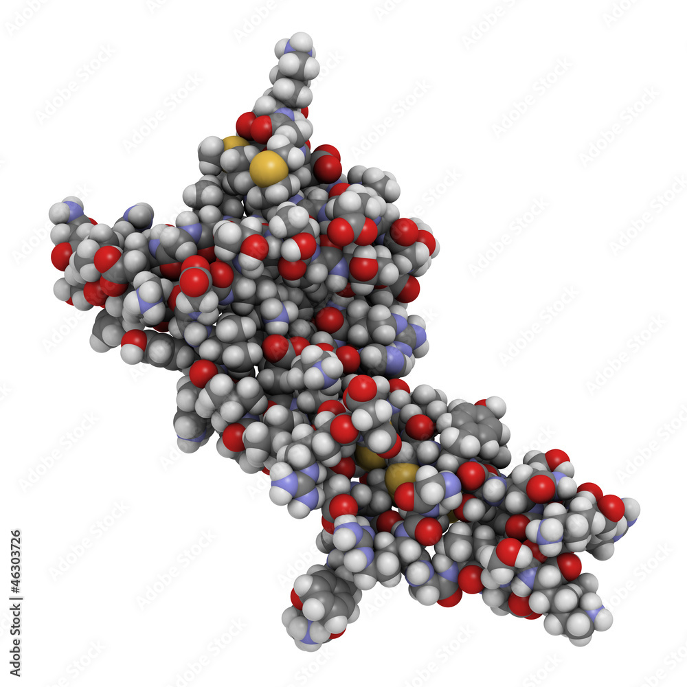 Nerve growth factor (NGF) protein molecule, chemical structure. Stock ...