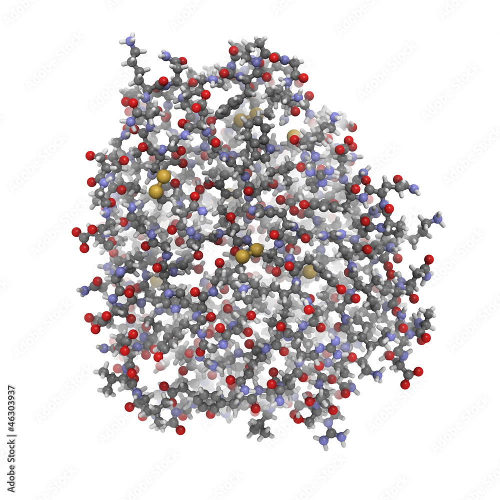 trypsin enzyme molecule, chemical structure. Illustration Stock | Adobe ...