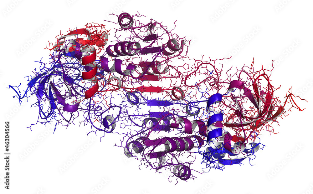 Alcohol dehydrogenase (ADH) enzyme molecule, chemical structure. Stock ...