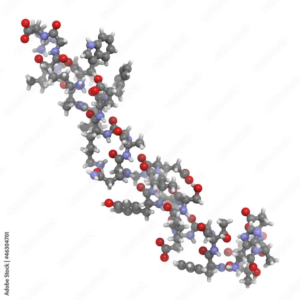 Glucagon-like Peptide 1 (GLP-1) molecule, chemical structure Stock ...