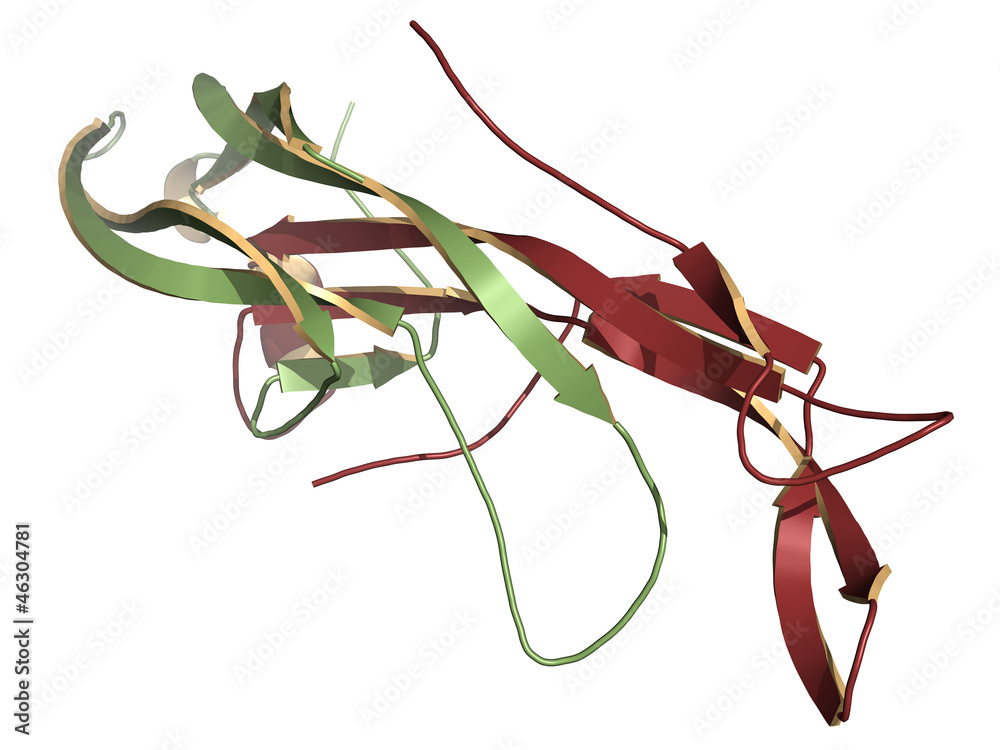 Follicle-stimulating hormone (FSH) molecule, chemical structure Stock ...