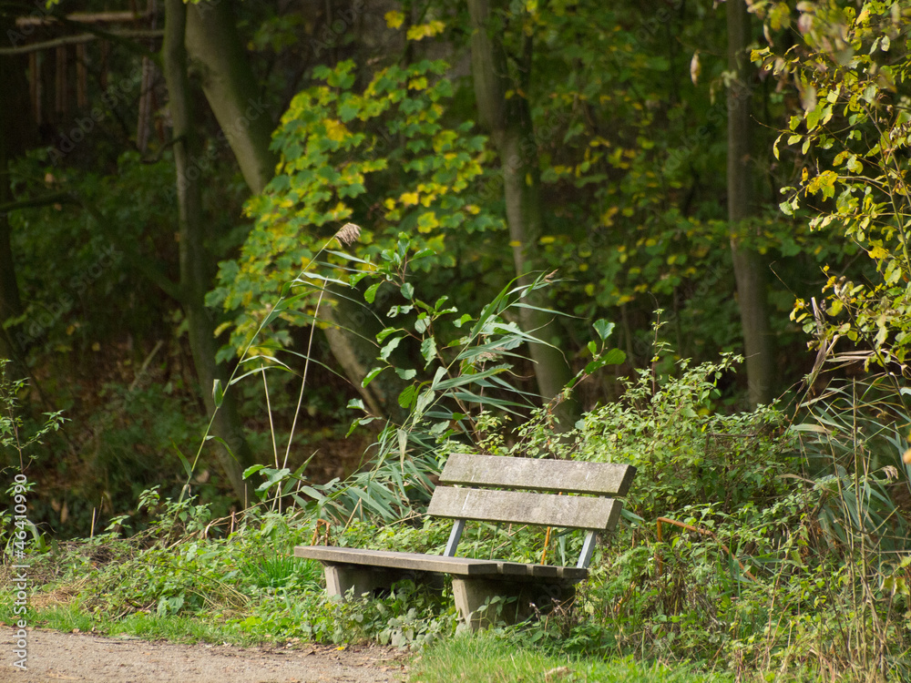 Bank im Wald Stock-Foto | Adobe Stock