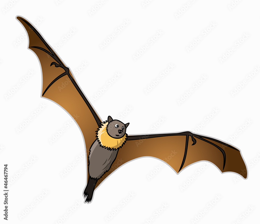 Flying fox - vector illustration Stock Vector | Adobe Stock