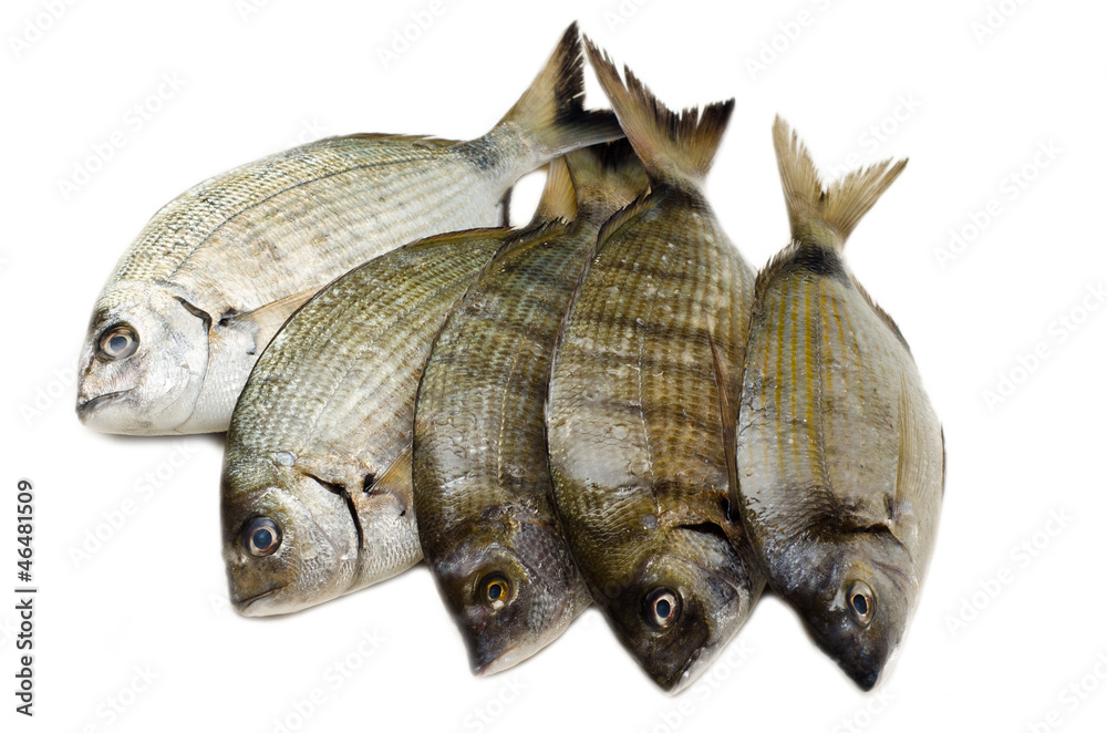 Foto Stock Orate fresche | Adobe Stock