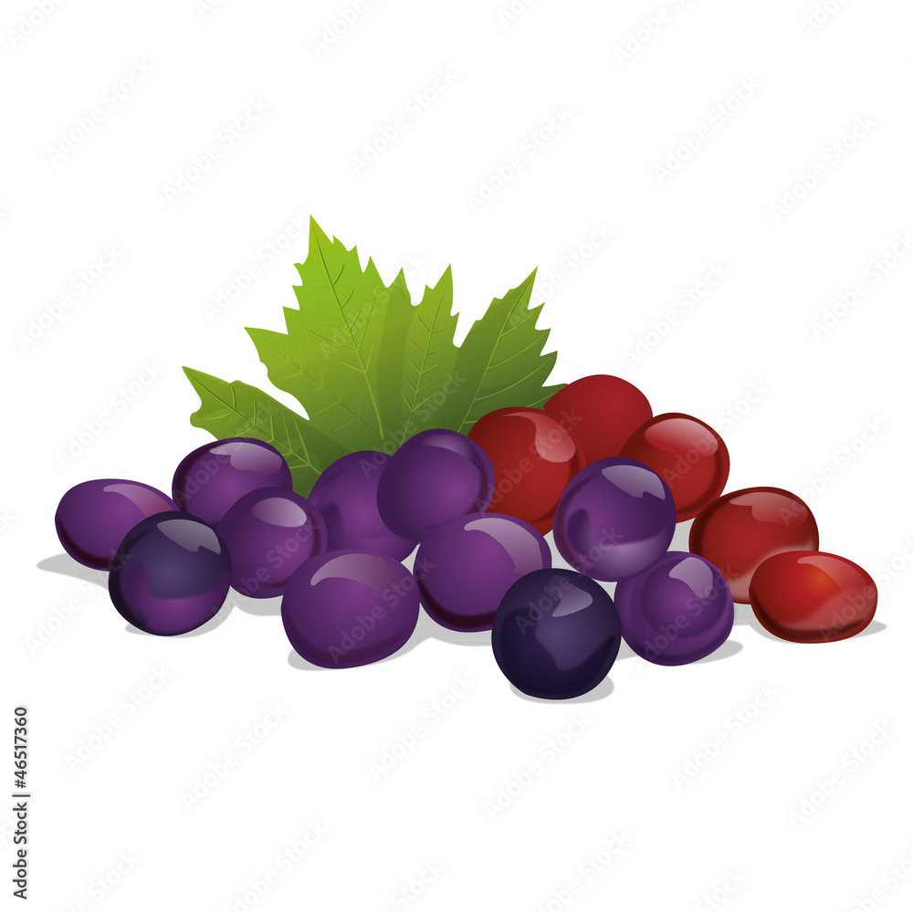 Weintrauben vector de Stock | Adobe Stock