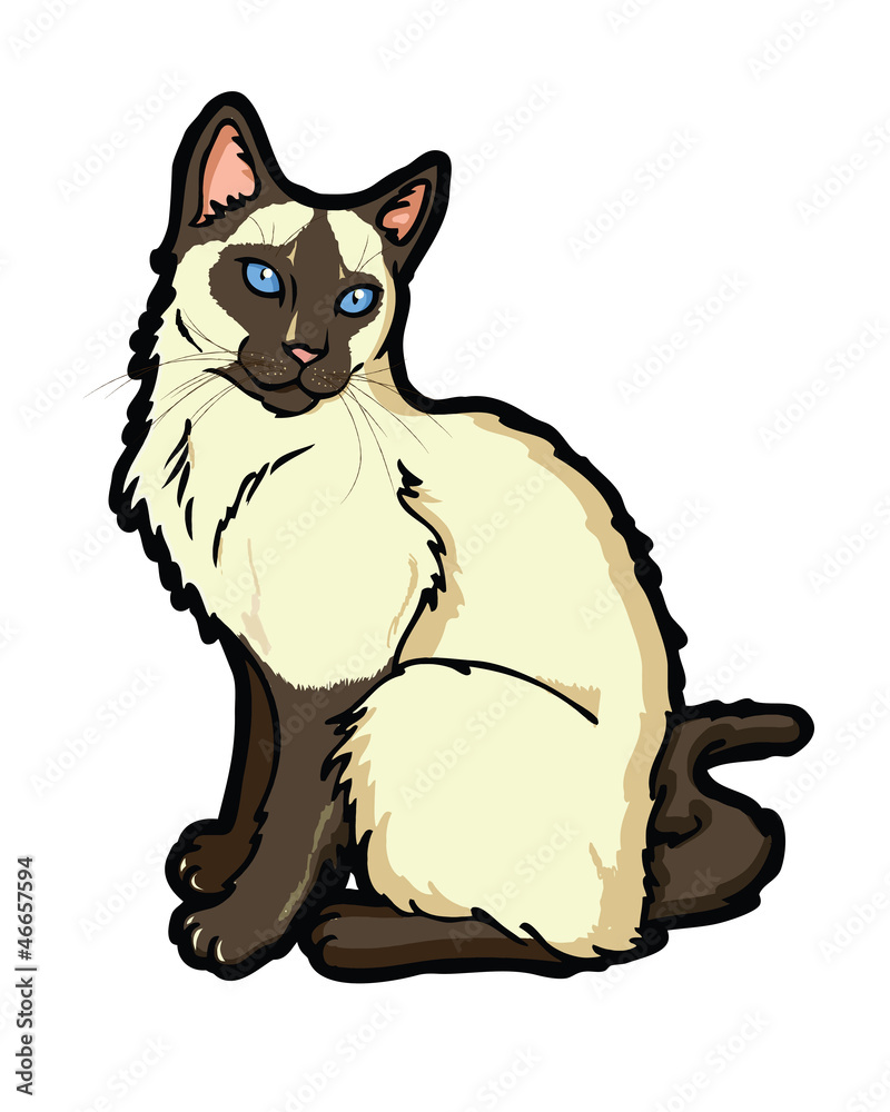 Siamese cartoon cat Stock Vector | Adobe Stock