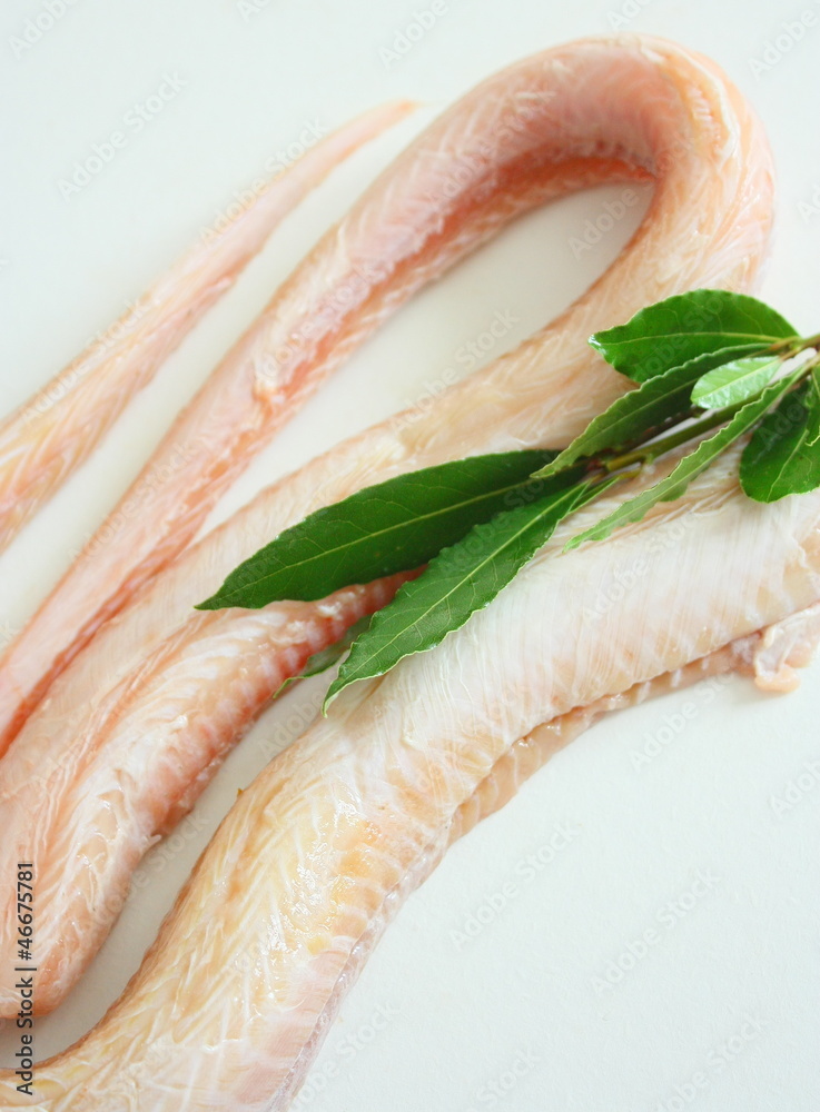 roussette,poisson Photos | Adobe Stock