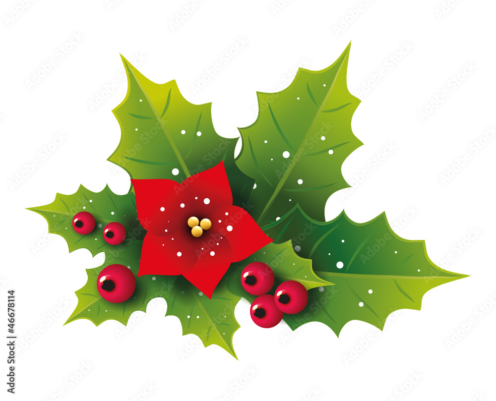 Ilex Zweige U. Berren Mit Weihnachtsstern - Stock - GamesAgeddon