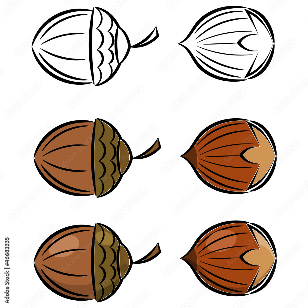 Cartoon set of vector images of hazelnut and acorn. eps10 Stock Vector ...
