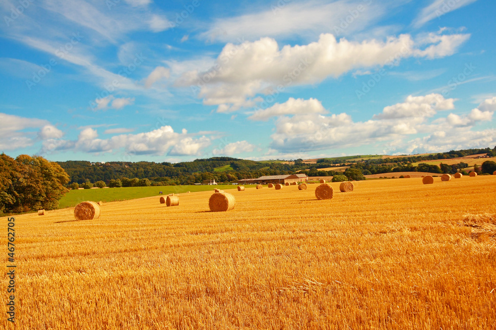 Scenic landscape with haybales Stock Photo | Adobe Stock