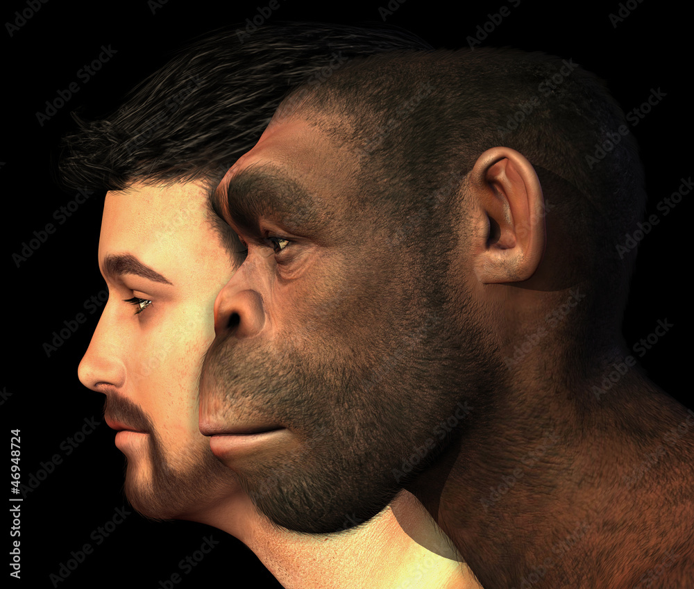 Modern Human and Homo Erectus Man Compared ilustración de Stock | Adobe ...