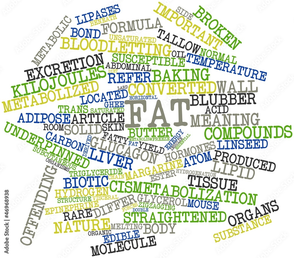 Word cloud for Fat Stock Illustration | Adobe Stock