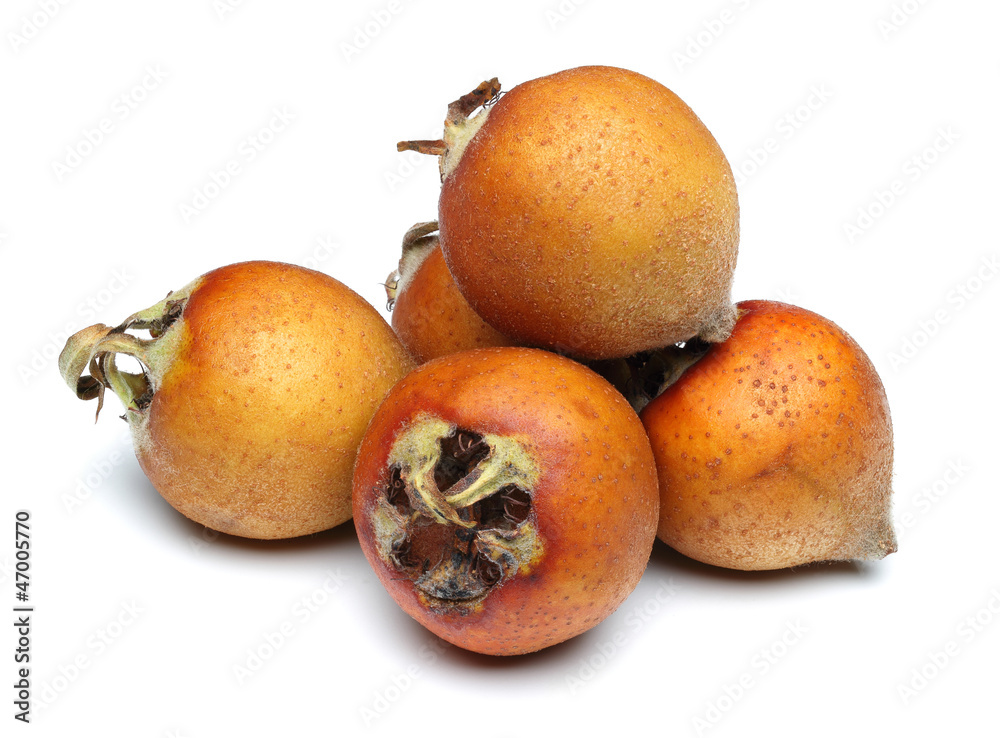 Medlar Fruit