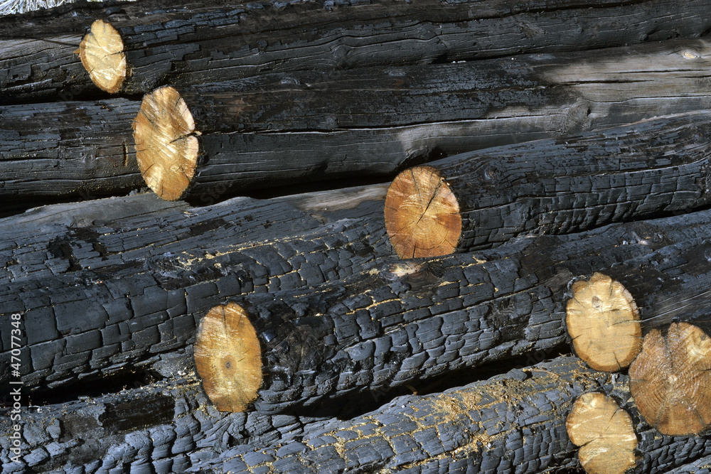 Madera quemada foto de Stock | Adobe Stock