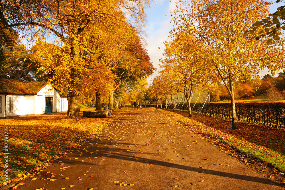Wonderful autumnal scene in the park Stock Photo | Adobe Stock