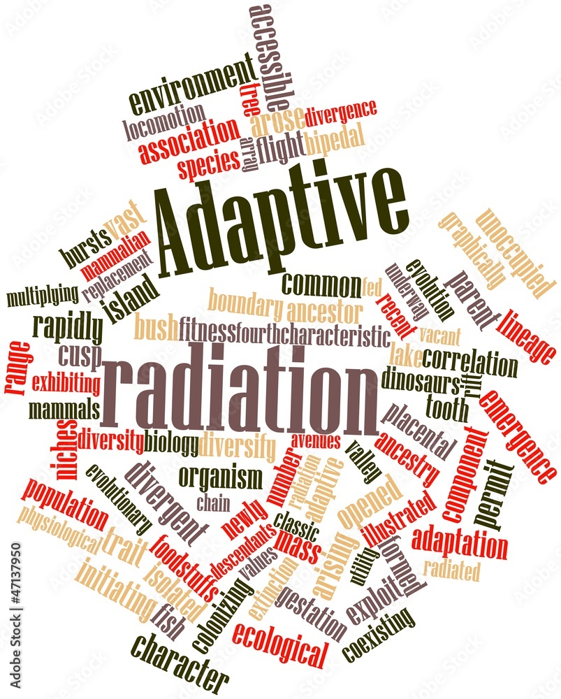 Adaptive Radiation Island