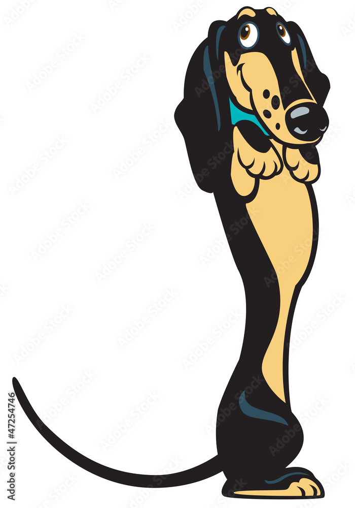cartoon dachshund Stock Vector | Adobe Stock
