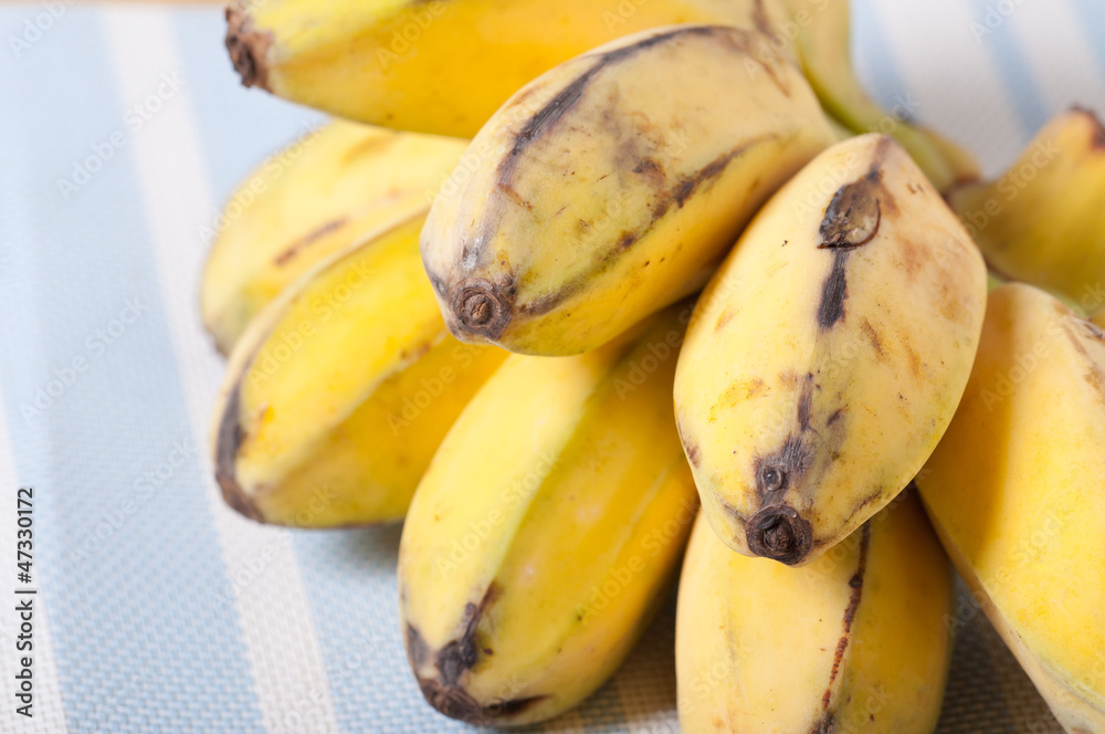 carbada banana also known as saba in the philippines Stock Photo ...