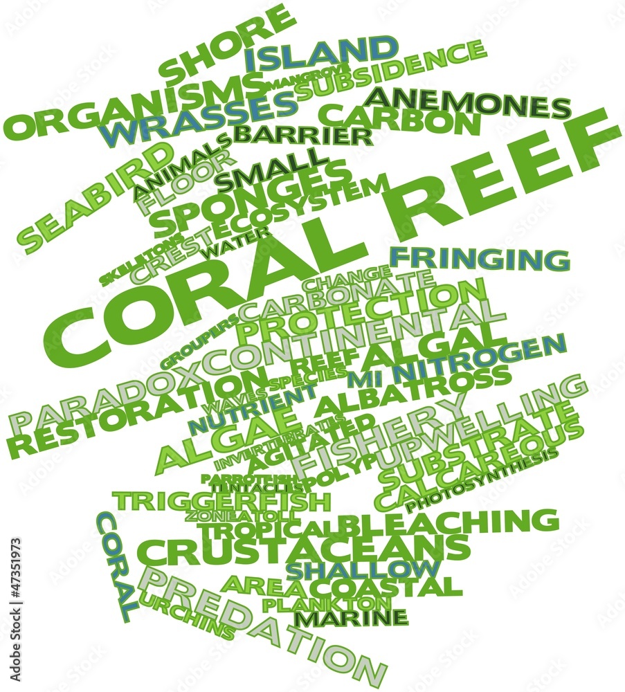 Word cloud for Coral reef Stock Illustration | Adobe Stock