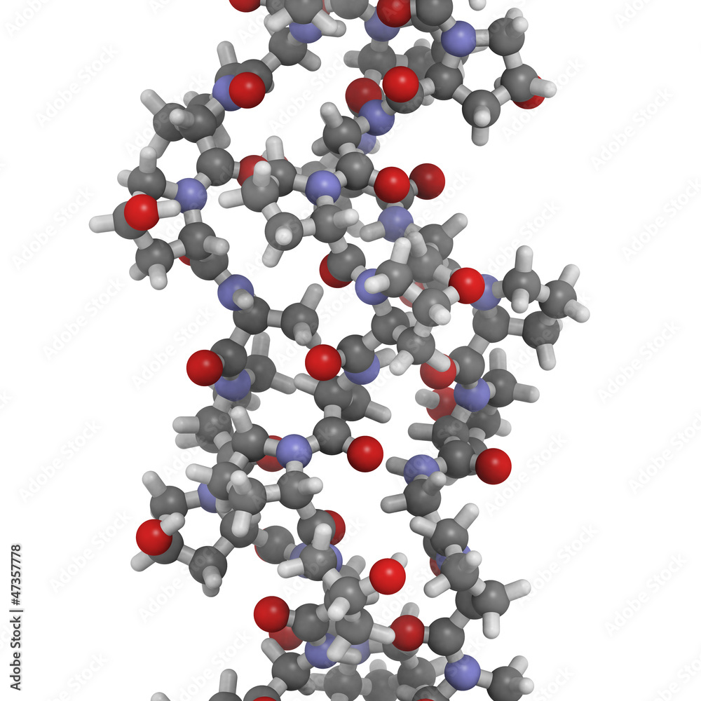 Protein Chemical Structures