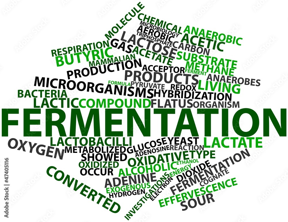 Word cloud for Fermentation Stock Illustration | Adobe Stock