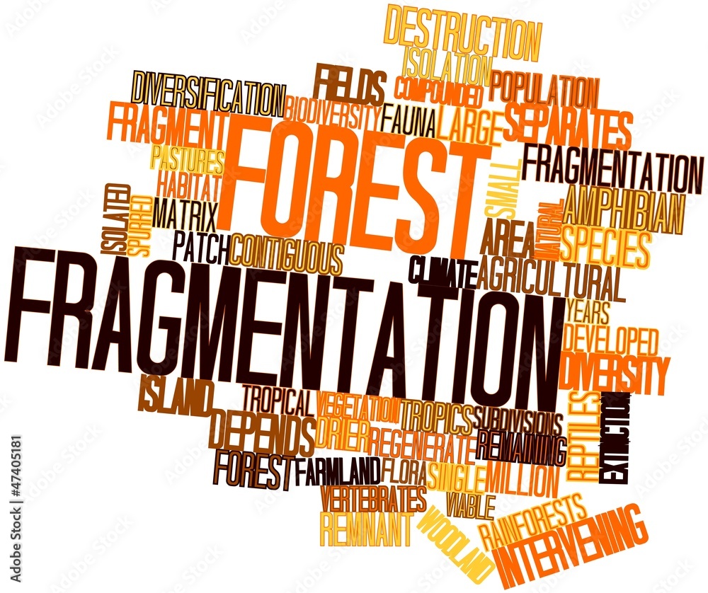 Word cloud for Forest fragmentation Stock Illustration | Adobe Stock