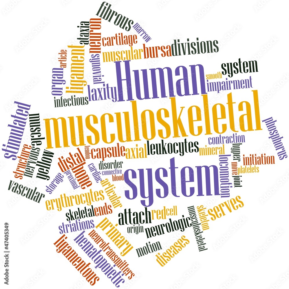 Word cloud for Human musculoskeletal system Stock Illustration | Adobe ...