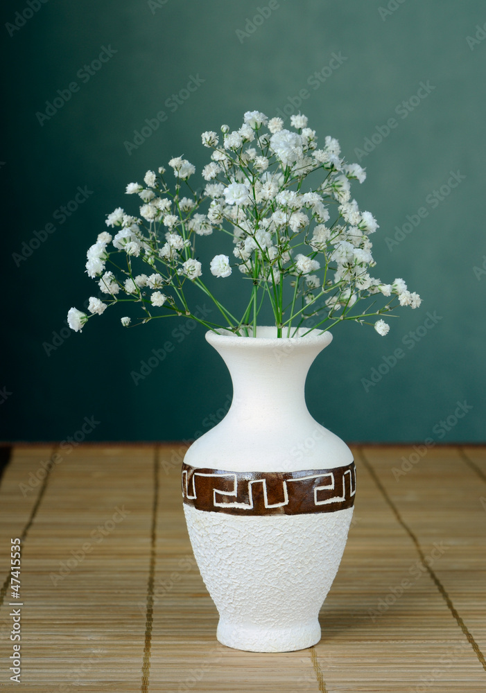 Gipsofila Stock Photo | Adobe Stock