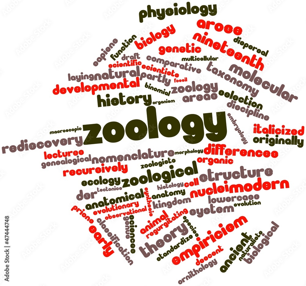 Word Cloud For Zoology Stock Illustration Adobe Stock