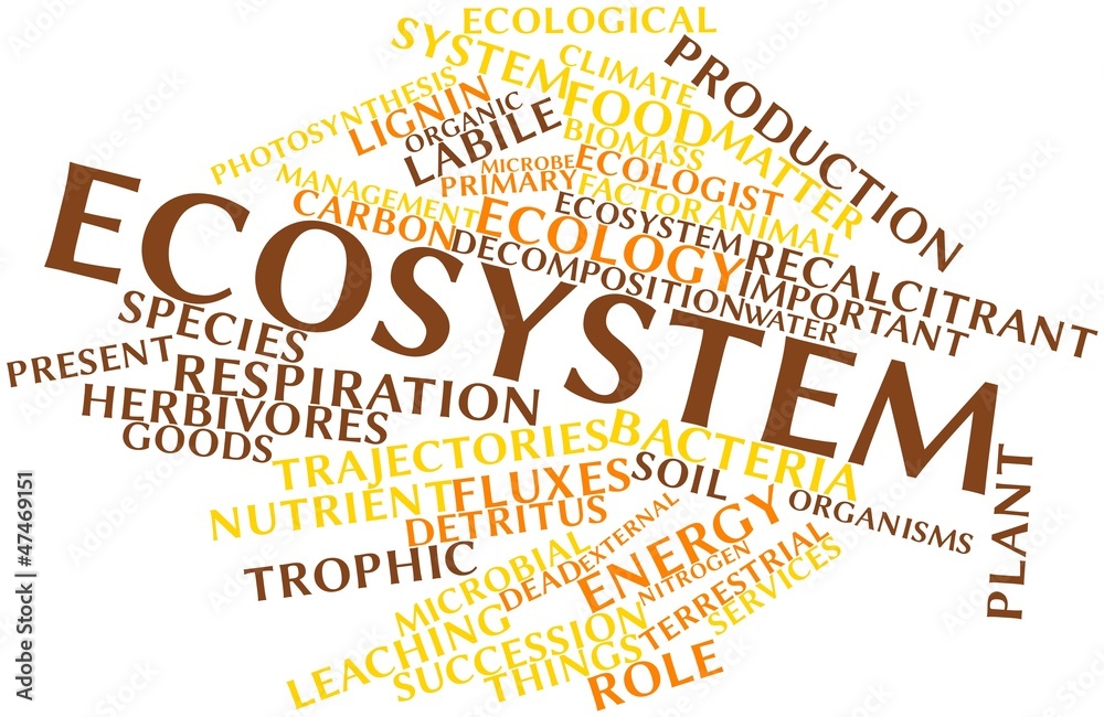 Word cloud for Ecosystem Stock Illustration | Adobe Stock