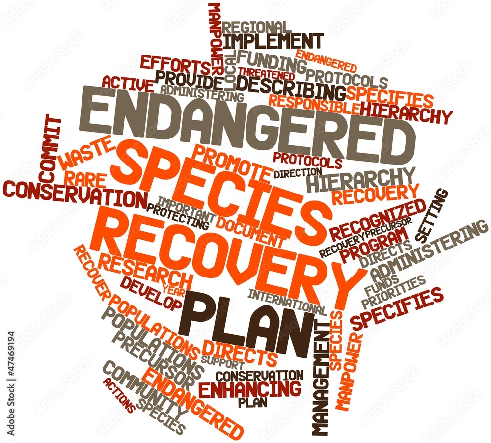 Word cloud for Endangered species recovery plan Stock Illustration ...