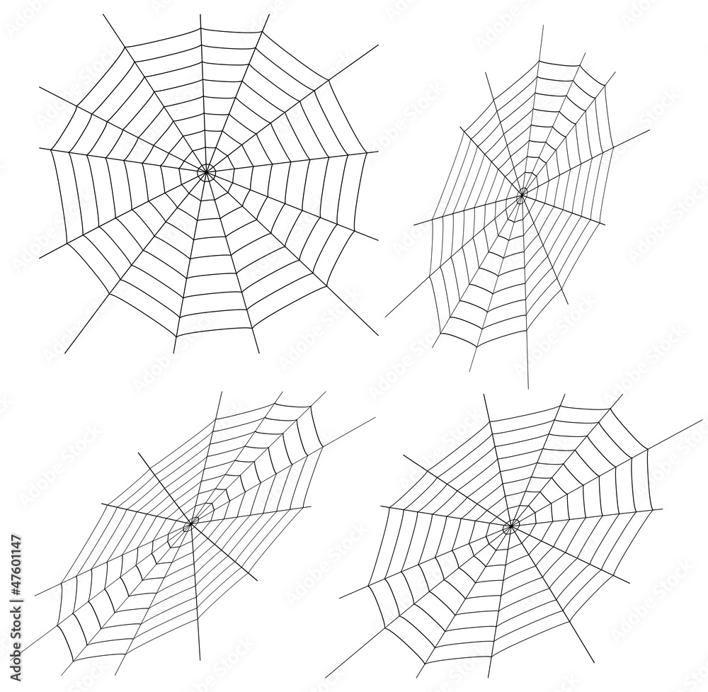 Vector illustration of cobweb Stock Vector | Adobe Stock