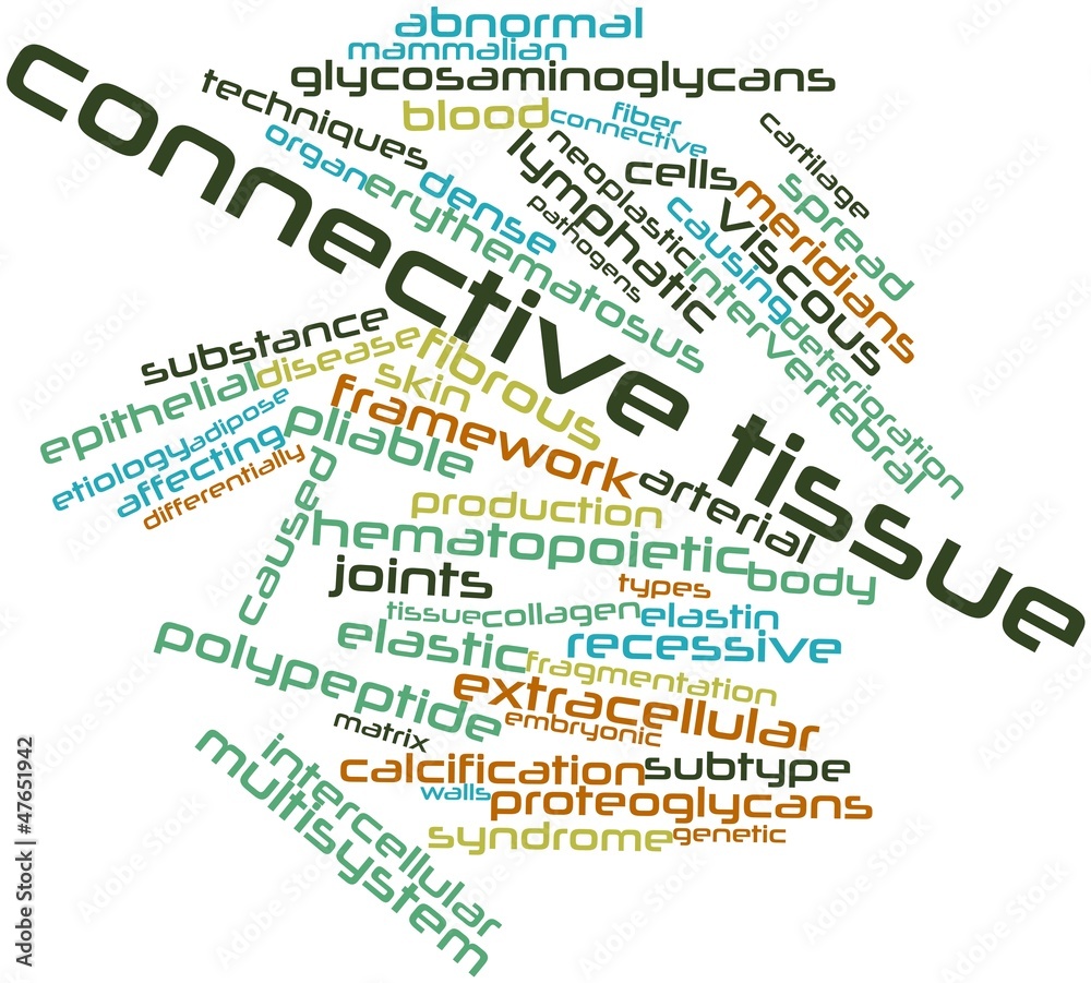 Poster Word cloud for Connective tissue – Wall Art | UkPosters