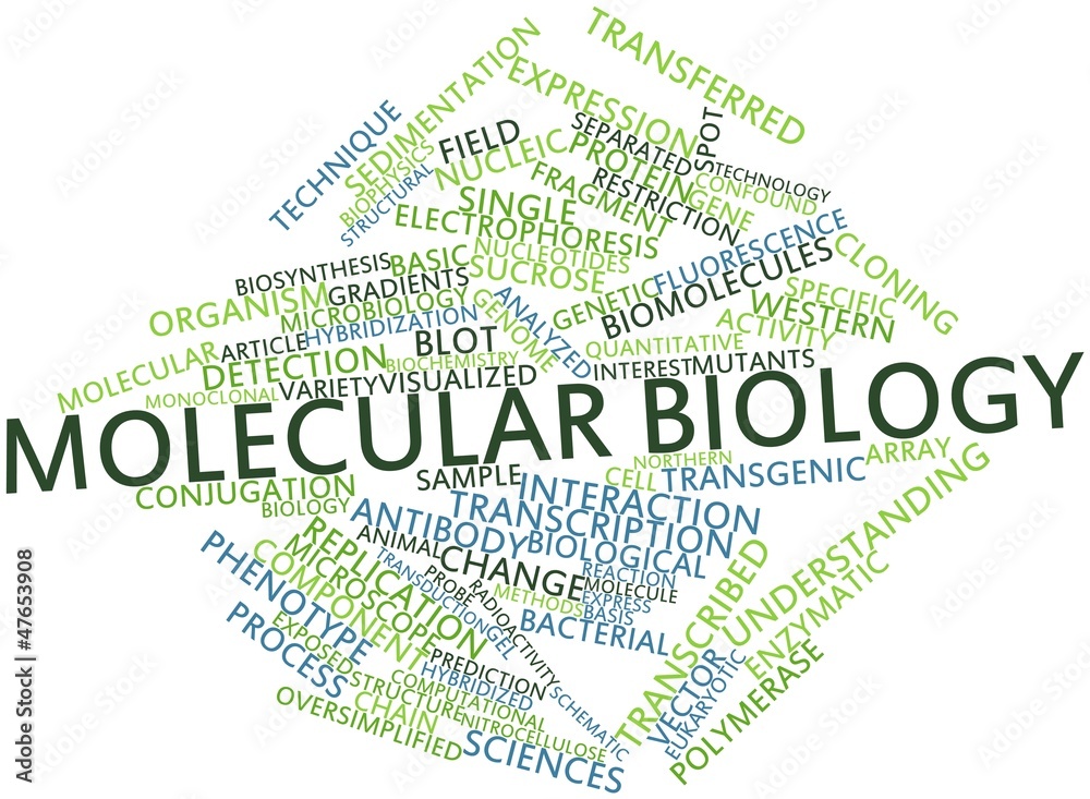 Biology Word Cloud