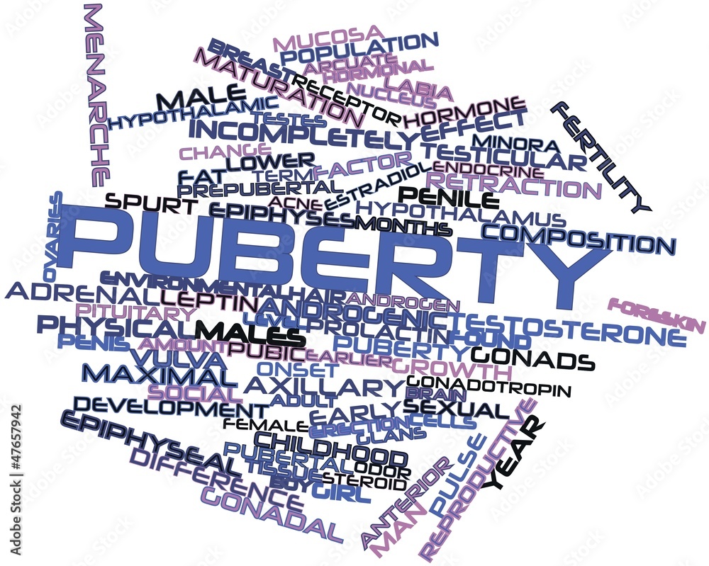 Poster Word cloud for Puberty – Wall Art | UkPosters