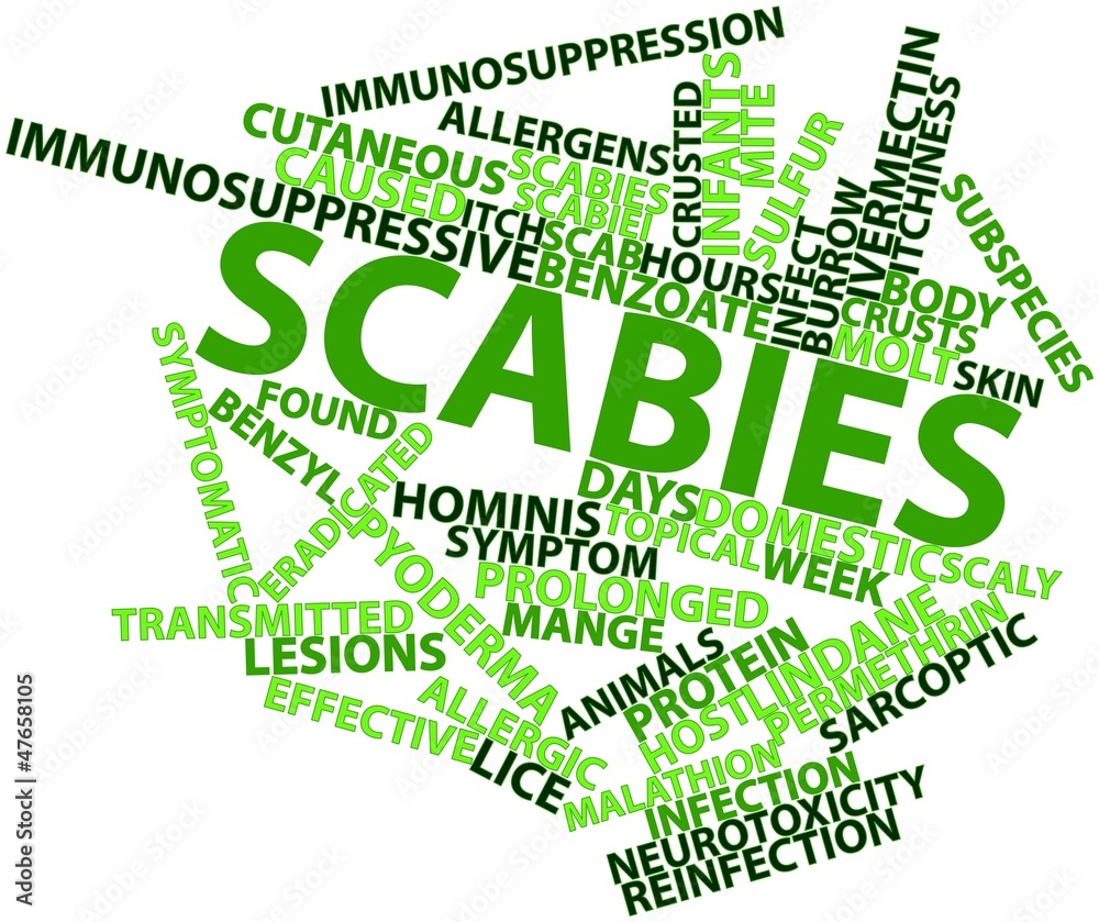 Word cloud for Scabies Stock Illustration | Adobe Stock