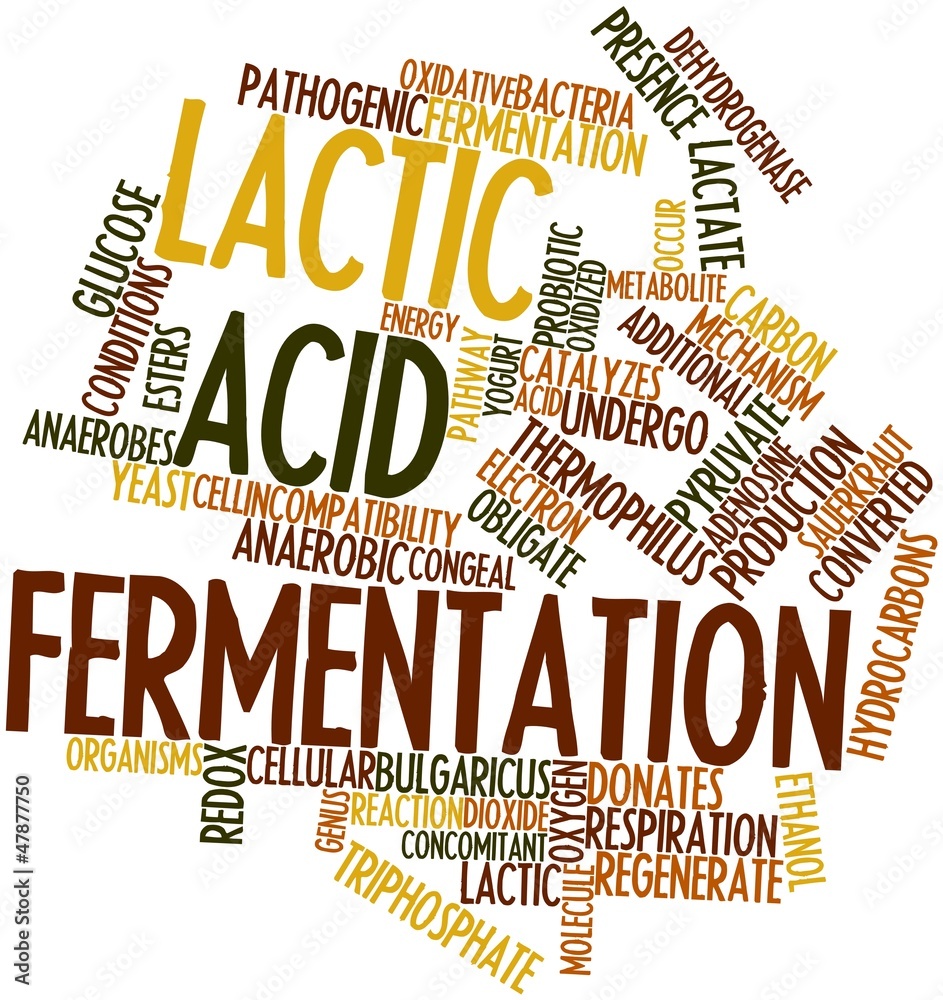 Word cloud for Lactic acid fermentation Stock Illustration | Adobe Stock