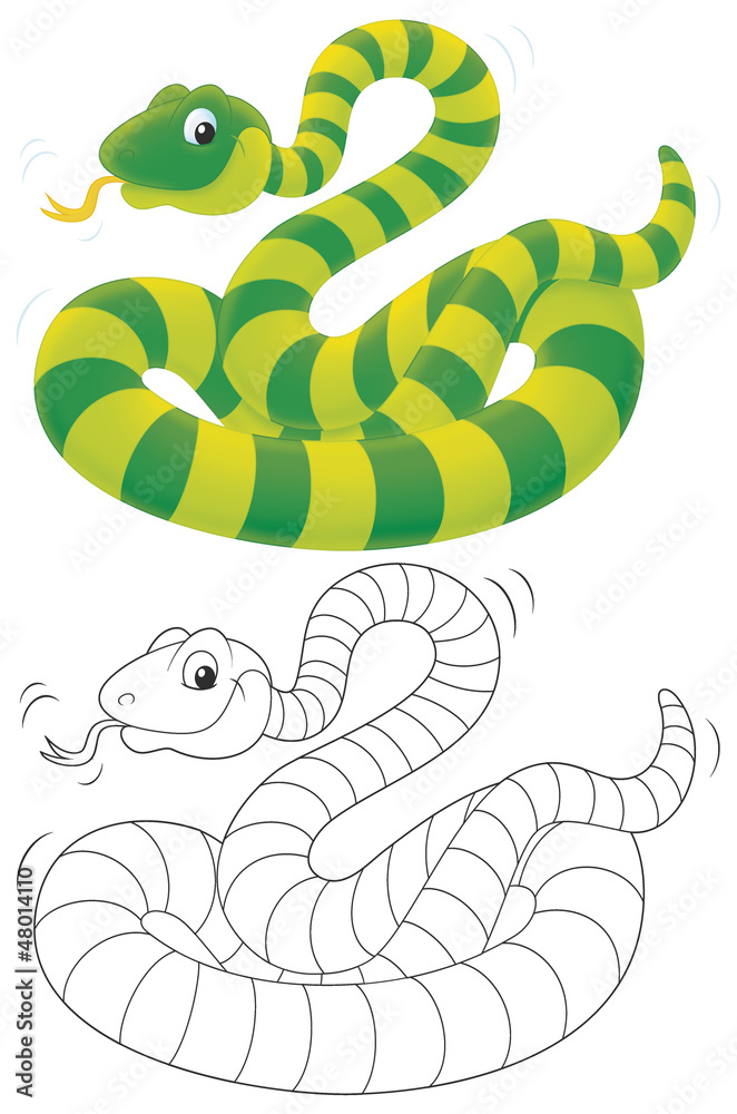 Green striped snake Stock Illustration | Adobe Stock
