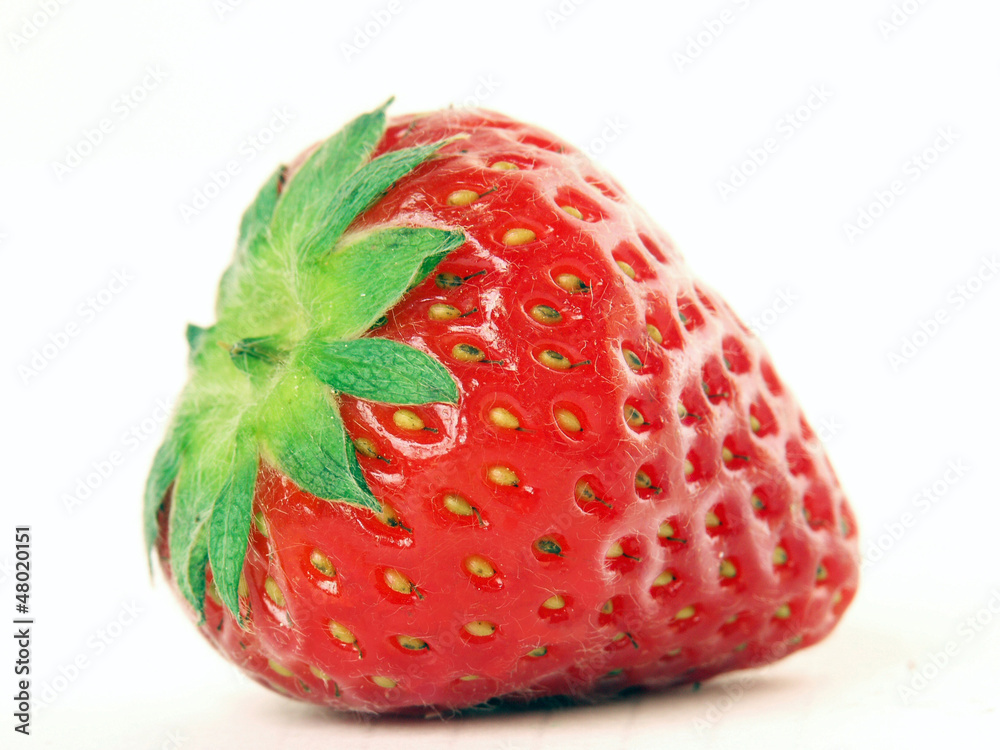 Una fresa en fondo blanco. Stock Photo | Adobe Stock