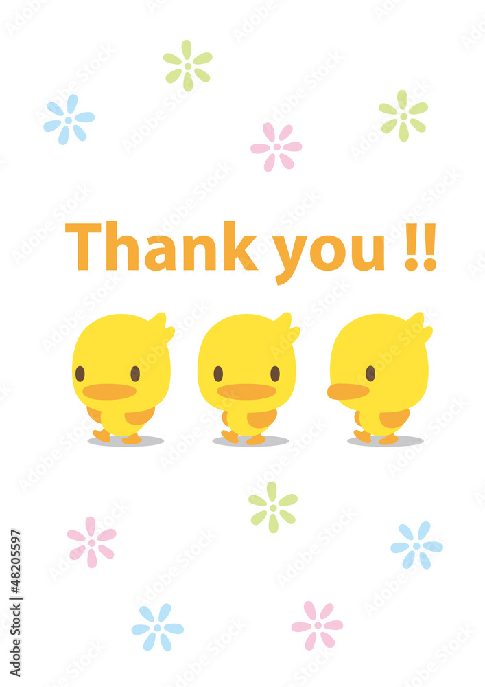 message card : thank you chick 001 Stock Illustration | Adobe Stock