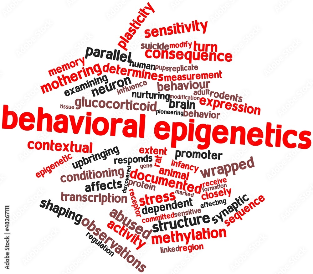 Word cloud for Behavioral epigenetics Stock Illustration | Adobe Stock