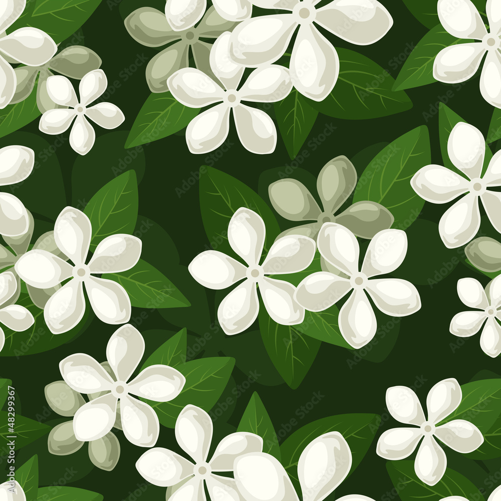 Seamless background with white flowers. Vector illustration. Stock ...