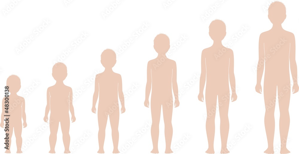 Vector illustration of man-child's figure fron 1 to 10 years Stock ...