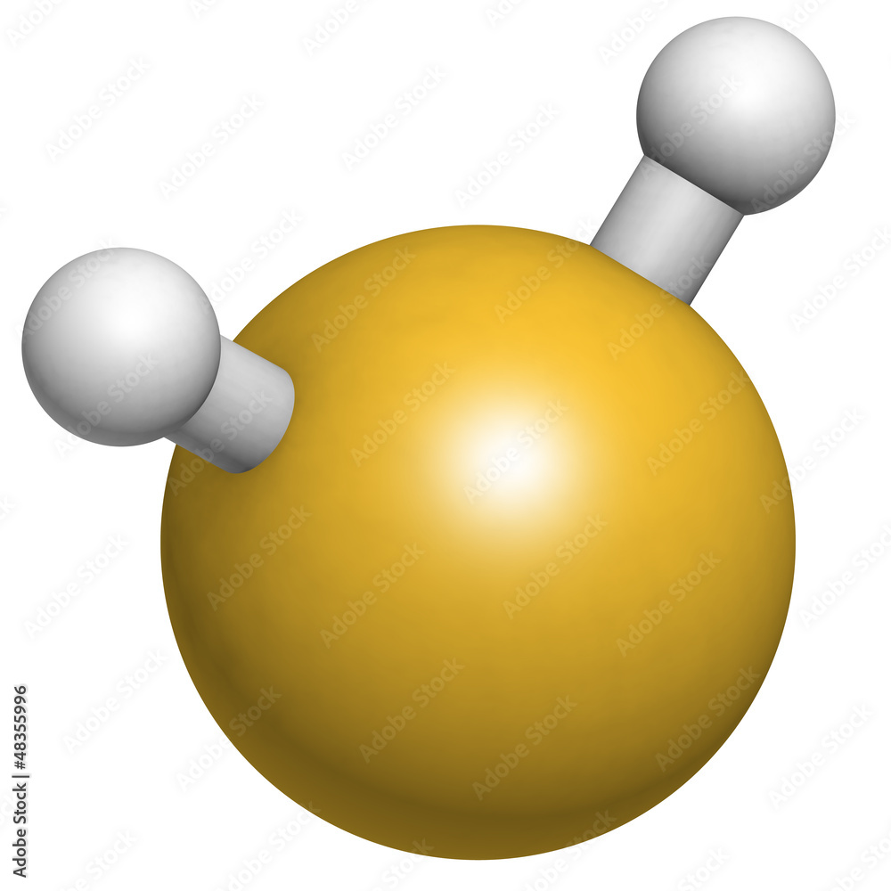 Hydrogen sulfide (H2S) molecule, chemical structure. H2S is a to Stock ...