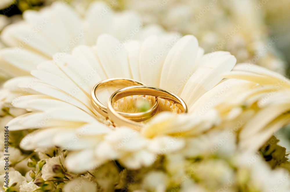 Eheringe Stock Photo | Adobe Stock