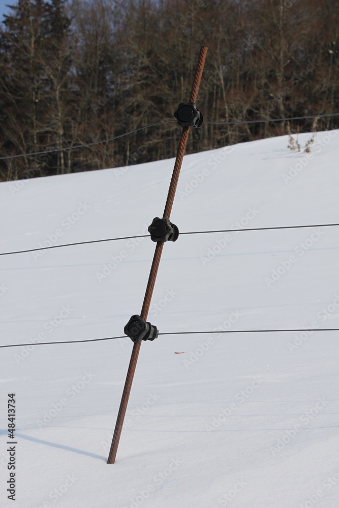 Piquet électrique Stock Photo | Adobe Stock