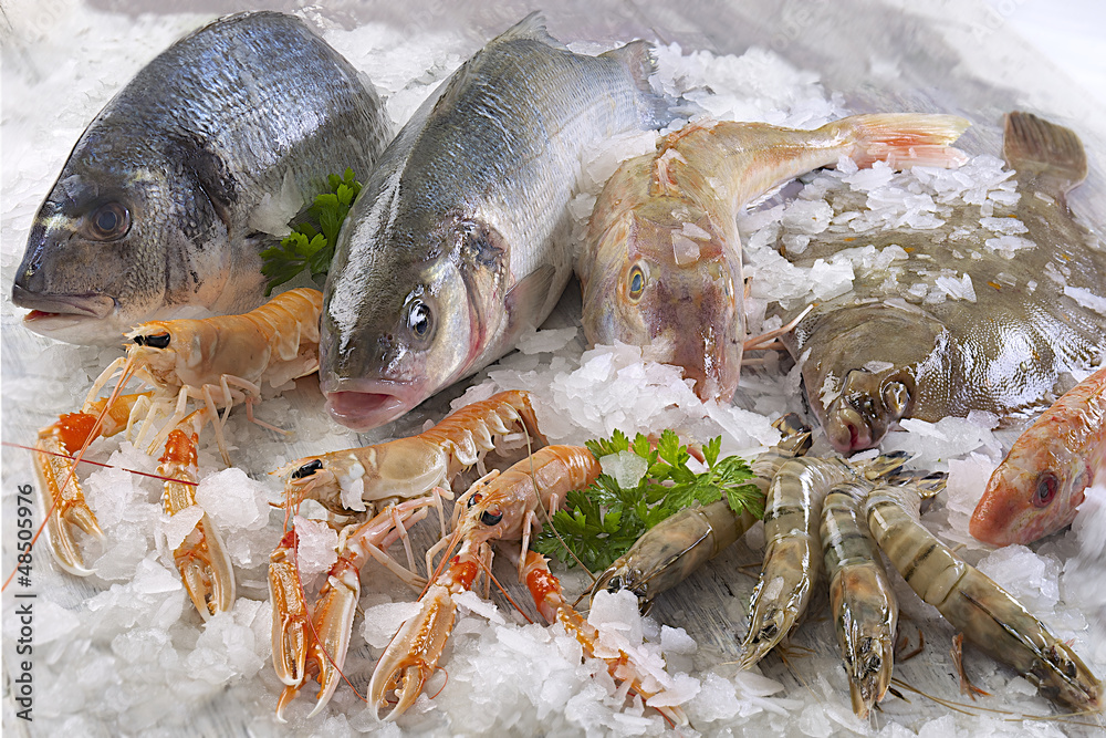 Étal de poissons sur glace pillée foto de Stock | Adobe Stock