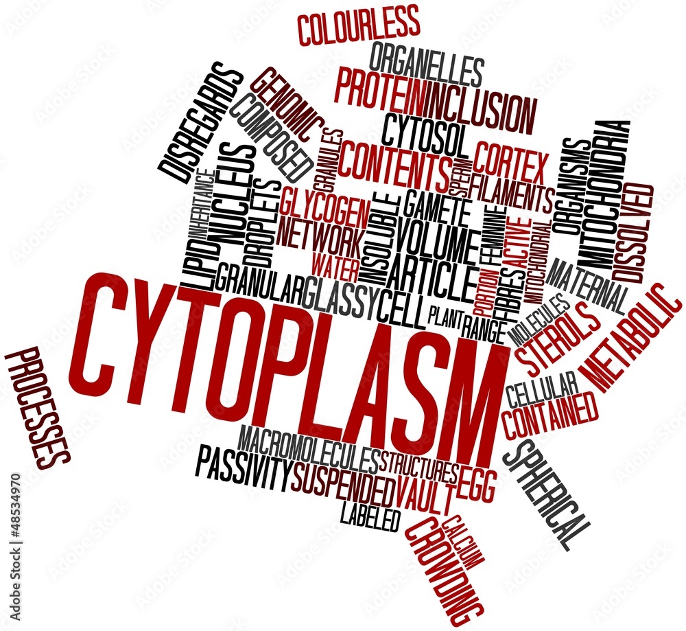 Word cloud for Cytoplasm Stock Illustration | Adobe Stock