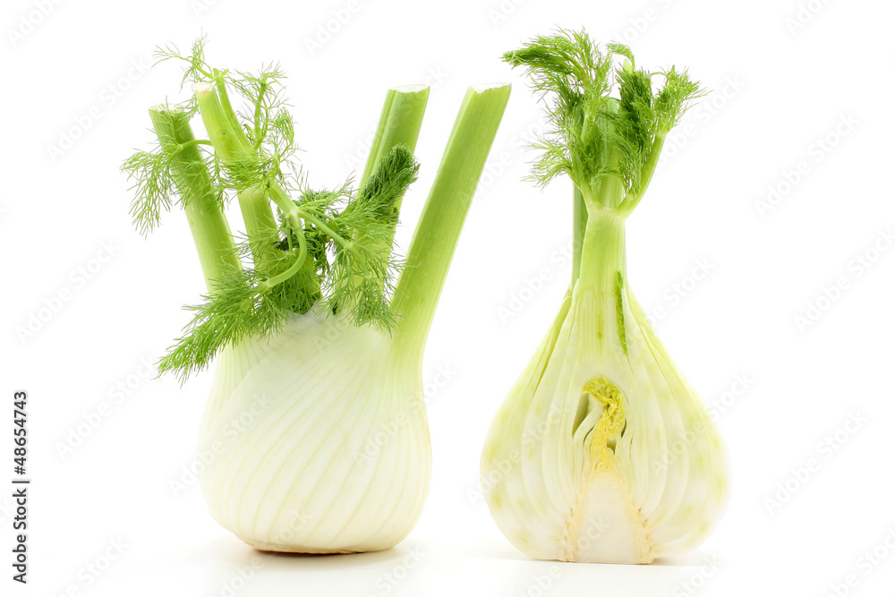 finocchio fresco su sfondo bianco Stock Photo | Adobe Stock